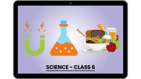 EduSaksham - Your Guide for Online Preparation