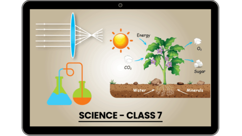 EduSaksham - Your Guide for Online Learning
