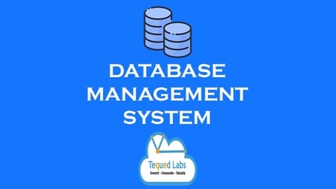 Database Management System