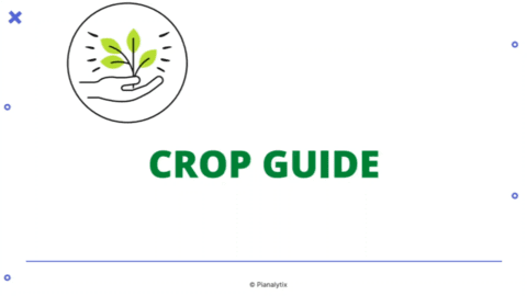 Project on building Crop Guide Application with PyQt5,SQLite